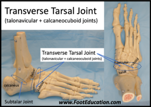 Biomechanics of Walking - FootEducation