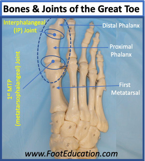 Stubbed Great Toe Footeducation